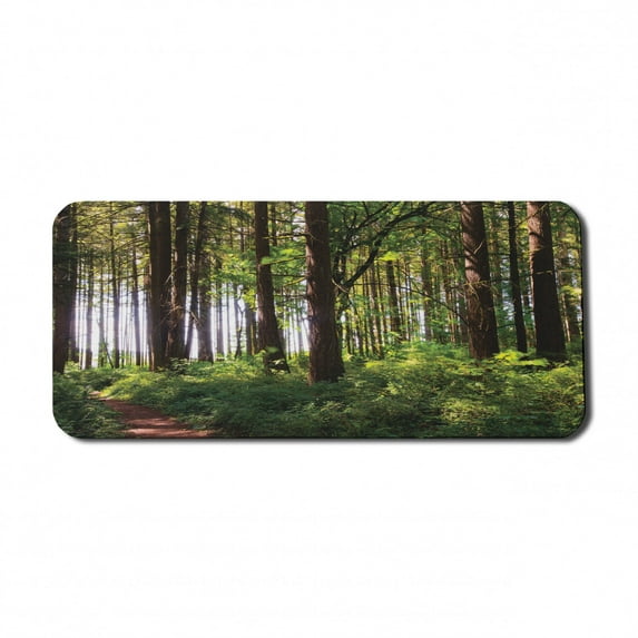 Forest Computer Mouse Pad, Pathway in a Shady Forest of Bushes and ...