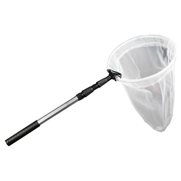 QualitChoice Adultes Punaise Télescopique Attraper Filet de Pêche ...