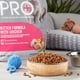 Pure Balance Pro+ Kitten Formula with Chicken Dry Cat Food, 7 lbs ...