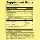 Spring Valley Symbiotic Digestive Health Gummies for Adults, Raspberry ...