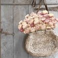 20 Pcs Natural Dried Daisy Flowers Bouquet Dried Flower Pink Daisies ...