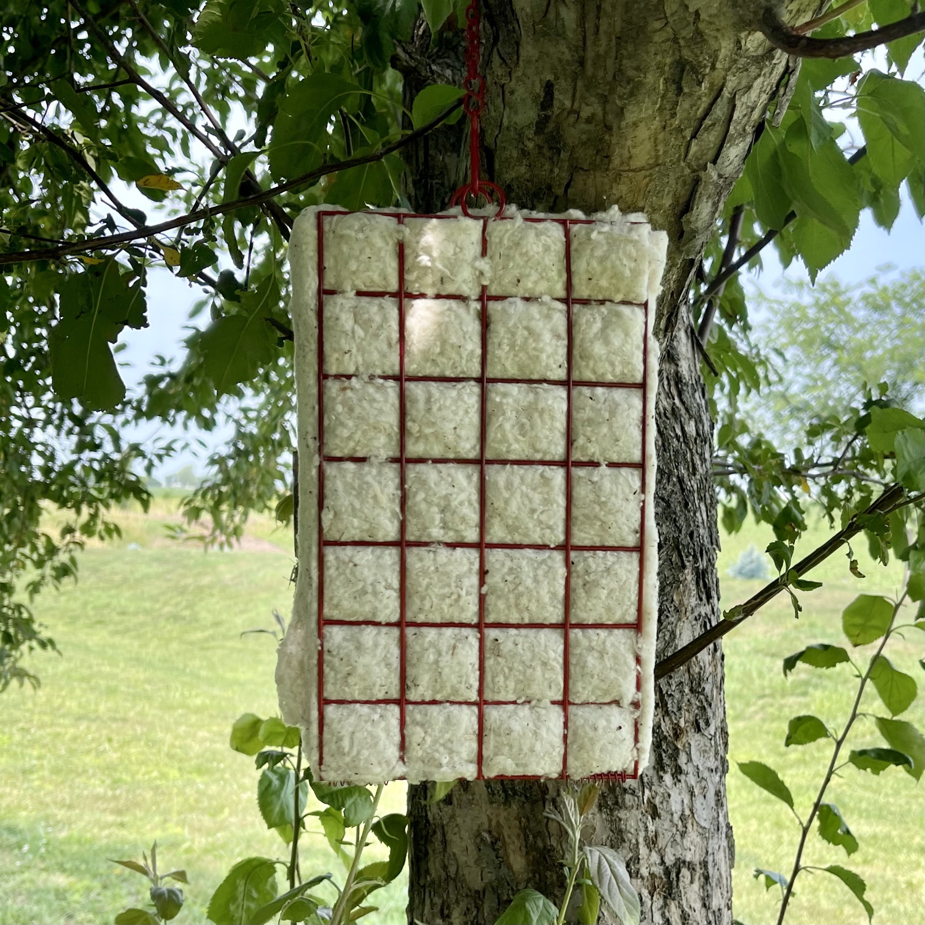 Songbird Essentials Bird House Bird Nesting Material Holder, Hummer ...