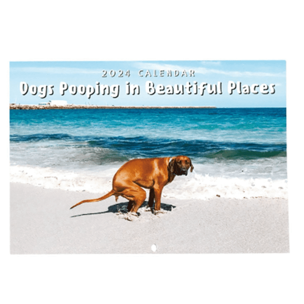 ckepdyeh Dog Pooping Wall Calendar Funny 2024 Pooches with Beautiful ...