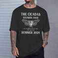 Cicada 2024 Cicada Reunion Tour TShirt - Walmart.com
