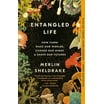 Entangled Life : How Fungi Make Our Worlds, Change Our Minds & Shape ...