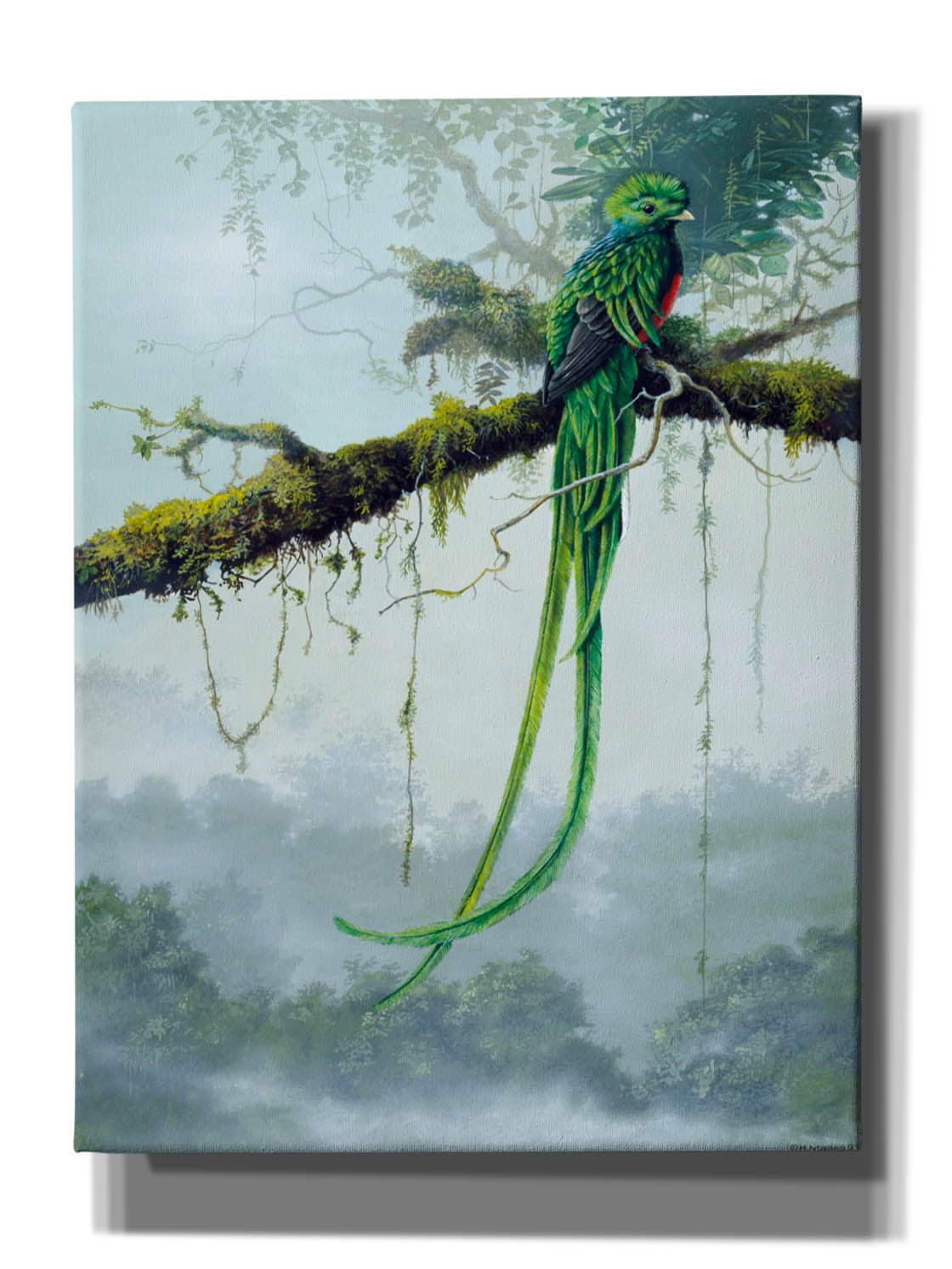 Epic Graffiti 'Resplendent Quetzal' by Harro Maass, Canvas Wall Art, 12 ...