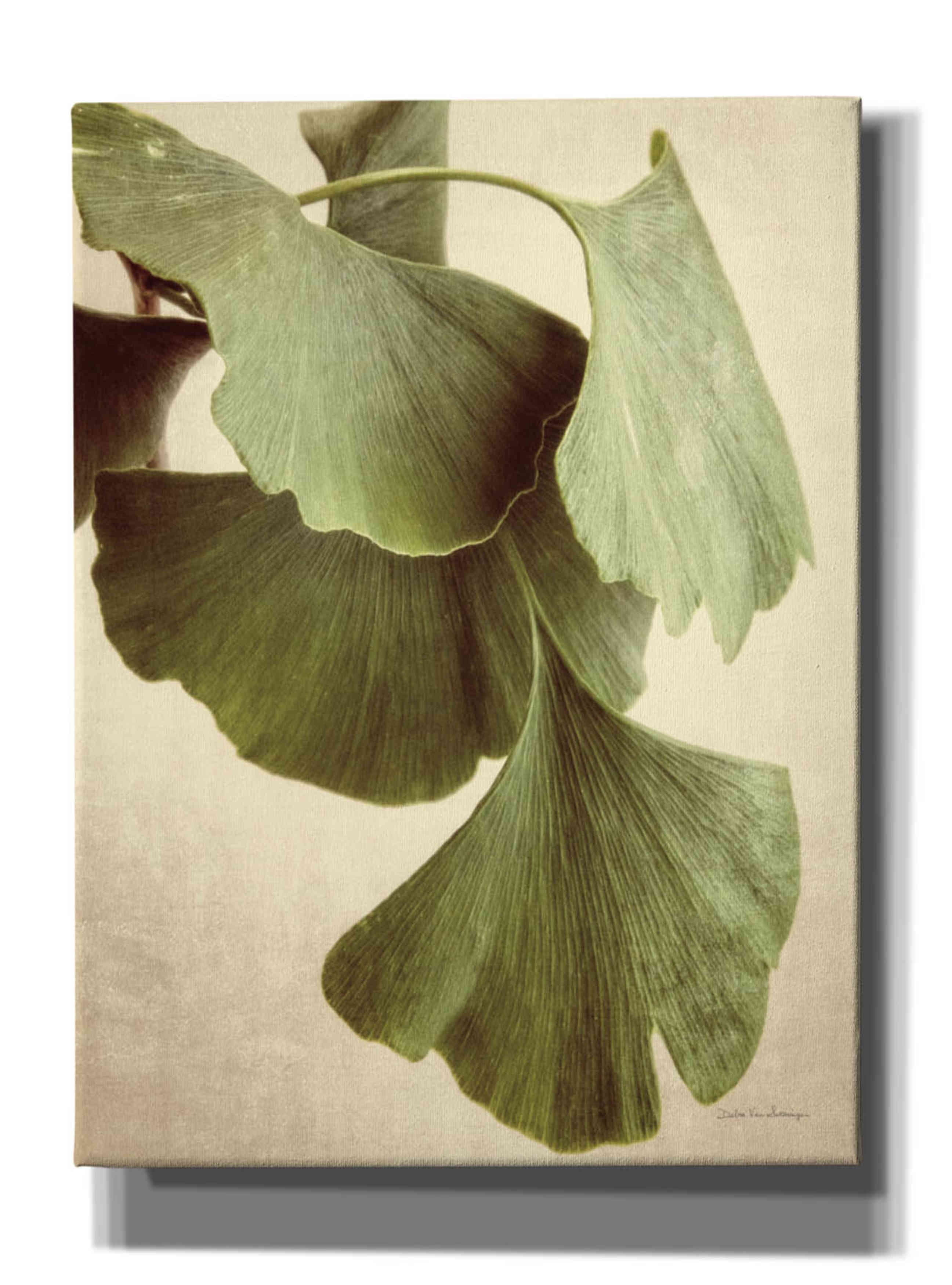 Epic Graffiti 'Gingko Color' by Debra Van Swearingen, Canvas Wall Art ...