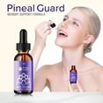 (3 Pack) Pineal Guard Drops Healthy Blood Support Formula - Dietary ...