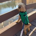 Gooby Fashion Vest - Green, X-Large - Quilted Bomber Jacket with Leash ...