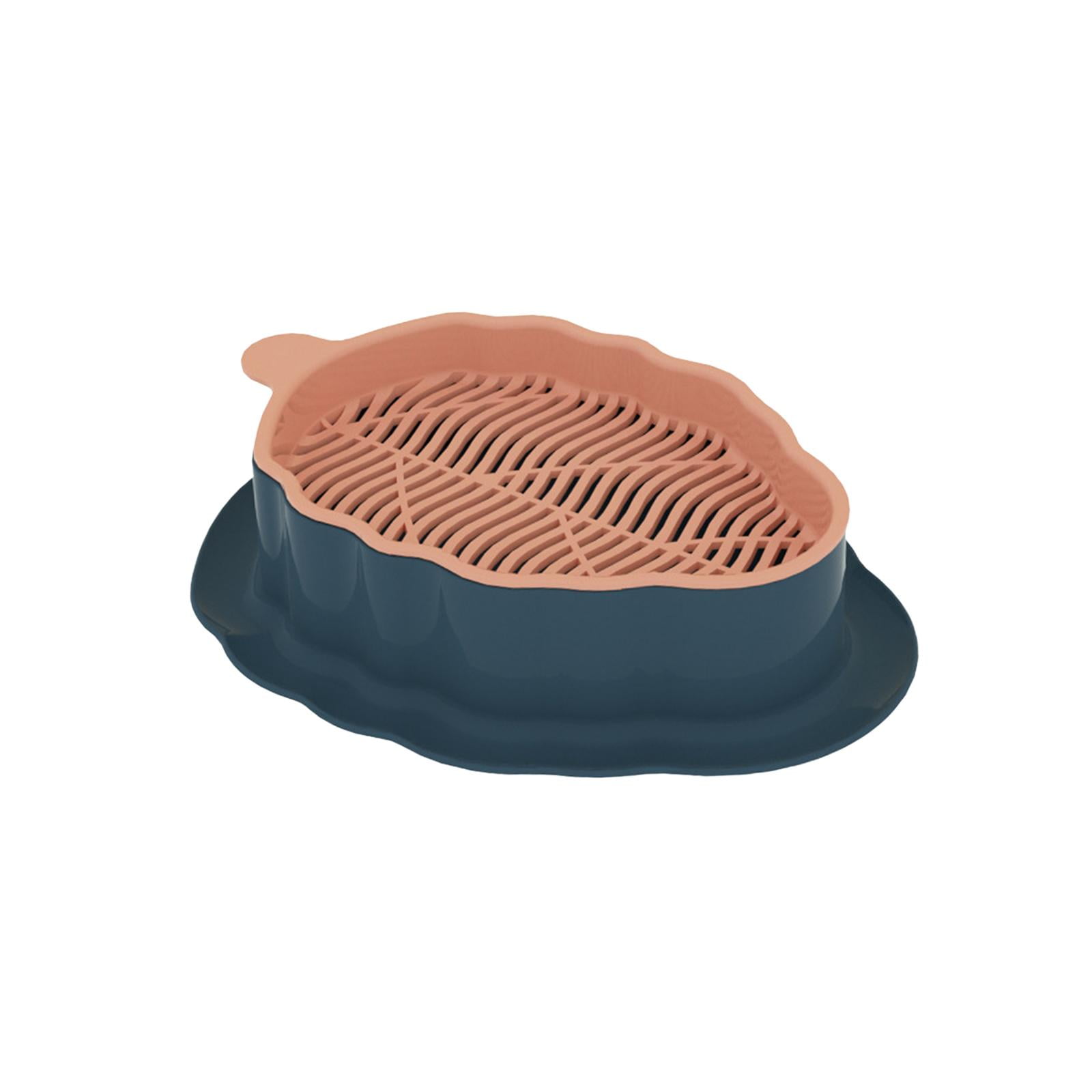 Cats Grass Tray Sprouting Container for Planting Office Greenhouse Blue ...