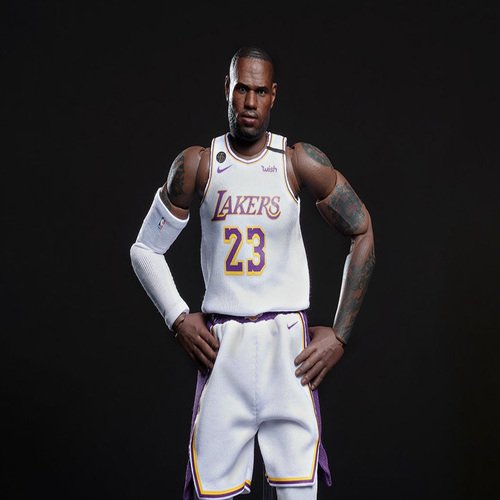 Lebron James Blocks