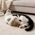 Creative Fish Bone Cat Dental Chew Toy - Fishbone Shape Catnip ...