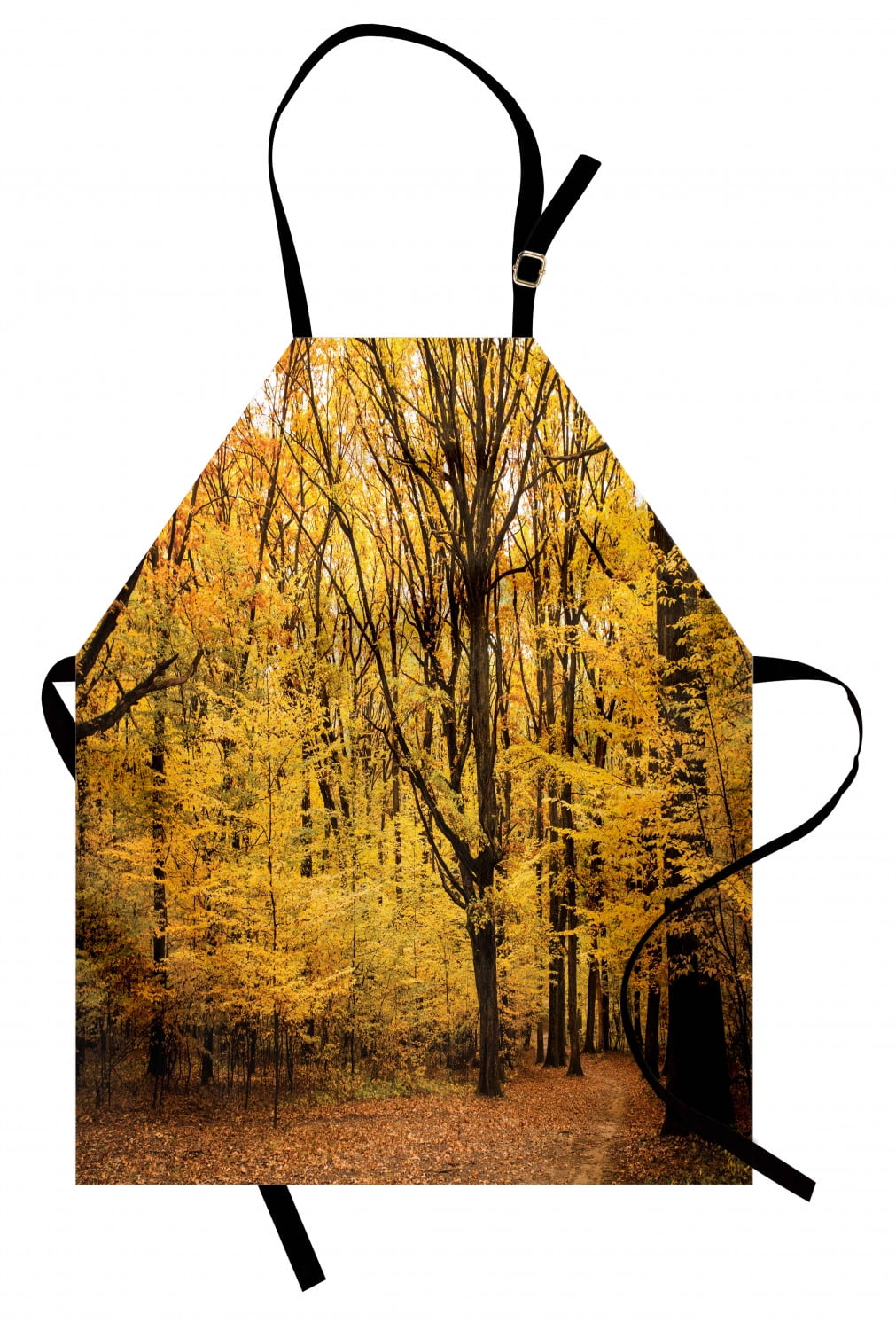 Fall Apron Epic View Deep Down in the Forest with Shady Leaves Rural ...