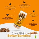 Chef Kitty 100% Wild Caught Salmon Freeze Dried Fish Treats for Cats ...