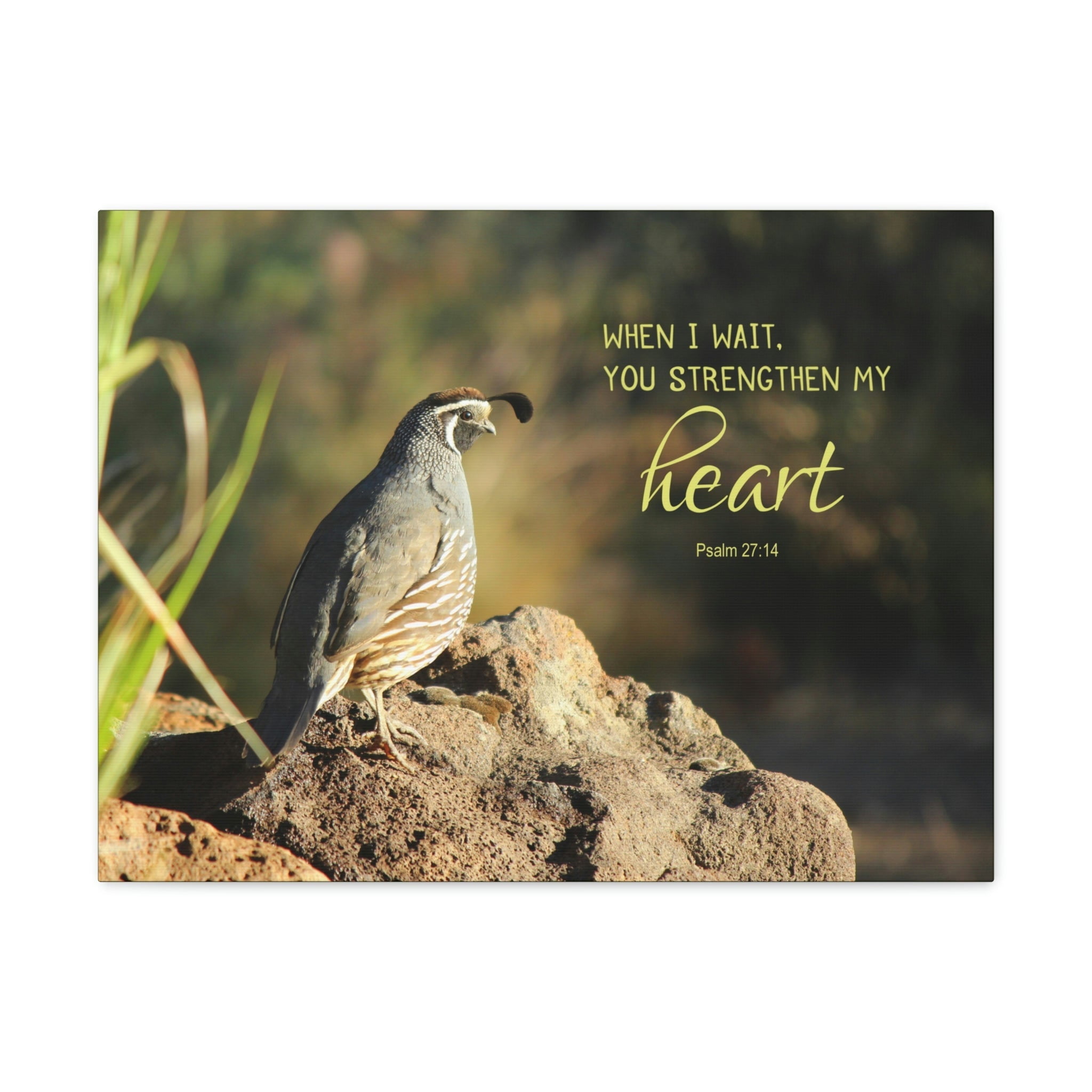 Scripture Walls Strengthen My Heart Psalm 27:14 Bird Bible Verse Canvas ...