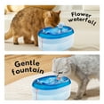 WOPET Safe Drinking Pet Water Fountain for Dogs and Cats, 67oz/2L with ...