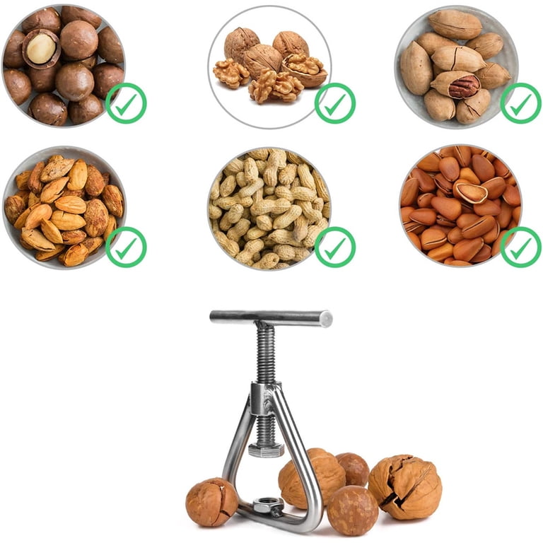 Pecan Walnut