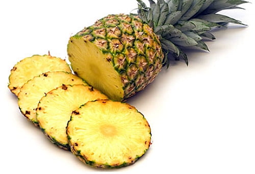 Smooth Cayenne Pineapple Plant - Ananas - Great Indoors/Out - Walmart.com