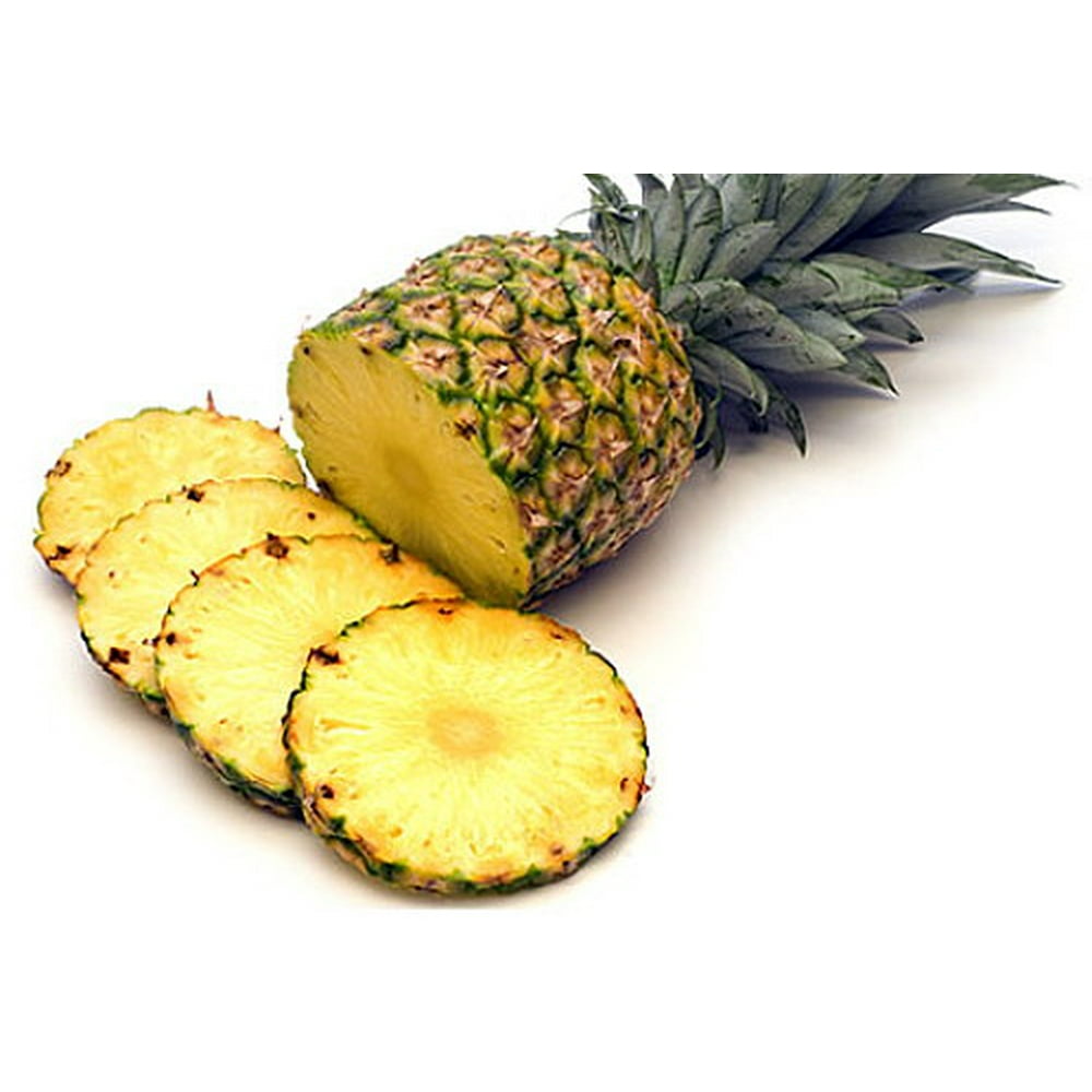 Smooth Cayenne Pineapple Plant - Ananas - Great Indoors/Out - Walmart ...
