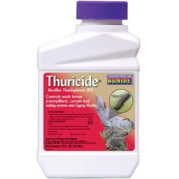 THURICIDE BACILLUS THURINGIENSIS INSECT CNTRL CONC - Walmart.com