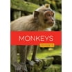 Lazlo Learns Recorder, (Paperback) - Walmart.com