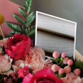 3drose, Painted Wooden Siding, 6 Greeting Cards with Envelopes ...