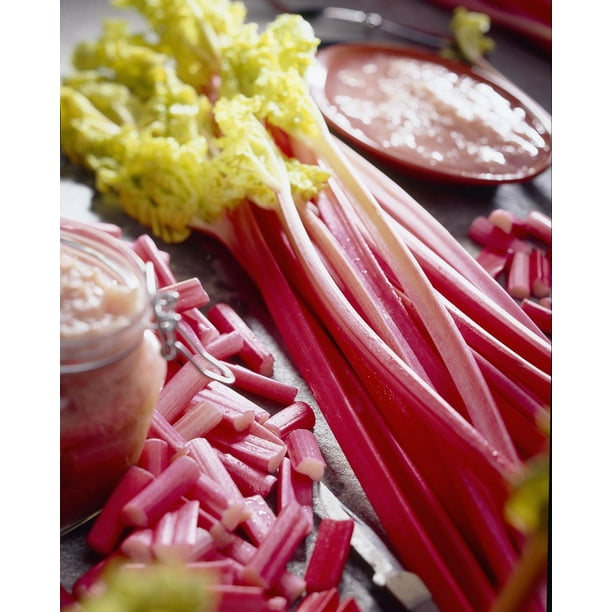 Rhubarb Victoria, Rhubarb Victoria 1 Bulb - Walmart.ca