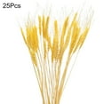 AURORA TRADE 25 Stems 19.69 Inch Dried Wheat Sheaves, Natural Wheat ...