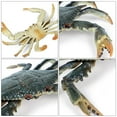 1pc Kids Artificial Crab Figures Vivid Plastic Educational Crab Model ...