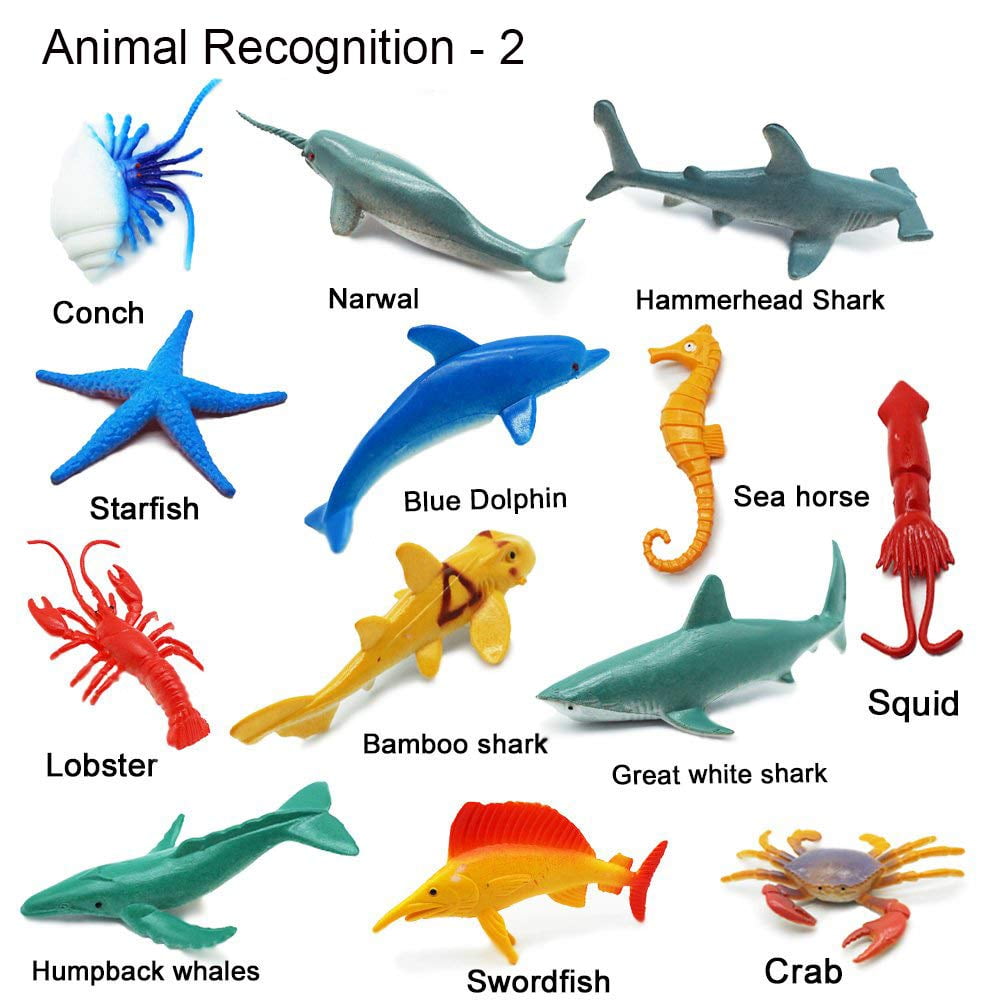Ocean Animals For Kids