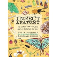 The Beetle and Butterfly Collection - A Guide to Collecting, Arranging ...