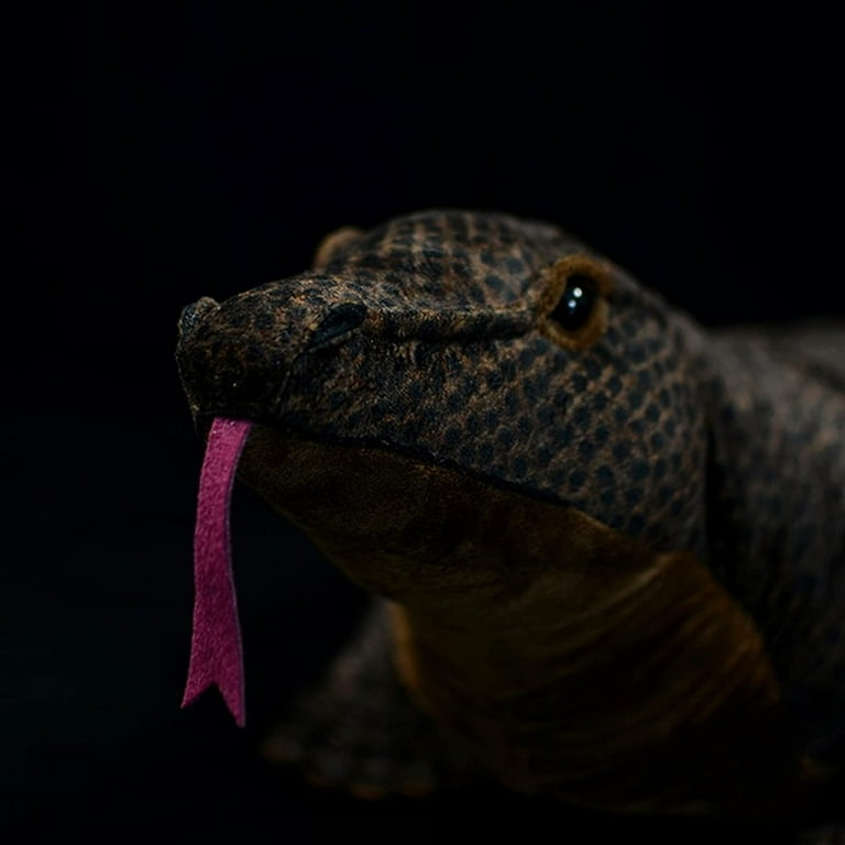 Lizard Tongue Texture