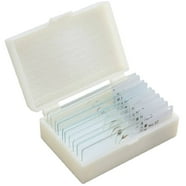 25pc Glass Microscope Slides Prepared in Wood Case: Plant, Insect ...