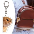 Blarkrus Cat Face Keychain 1 Piece, Funny Meme Expression Design, for ...