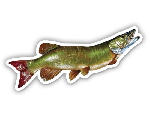 Muskie - 8" Vinyl Sticker - For Car Laptop I-Pad - Waterproof Decal ...