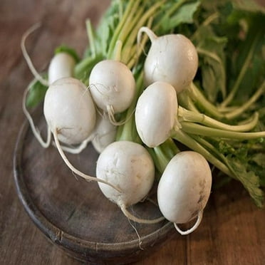 Kohlrabi Seed, Early White Vienna, Heirloom, Non GMO, 100 Seeds ...