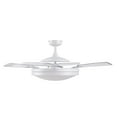 Fanaway Evo2 Retractable 4-blade Lighting with Remote Ceiling Fan ...
