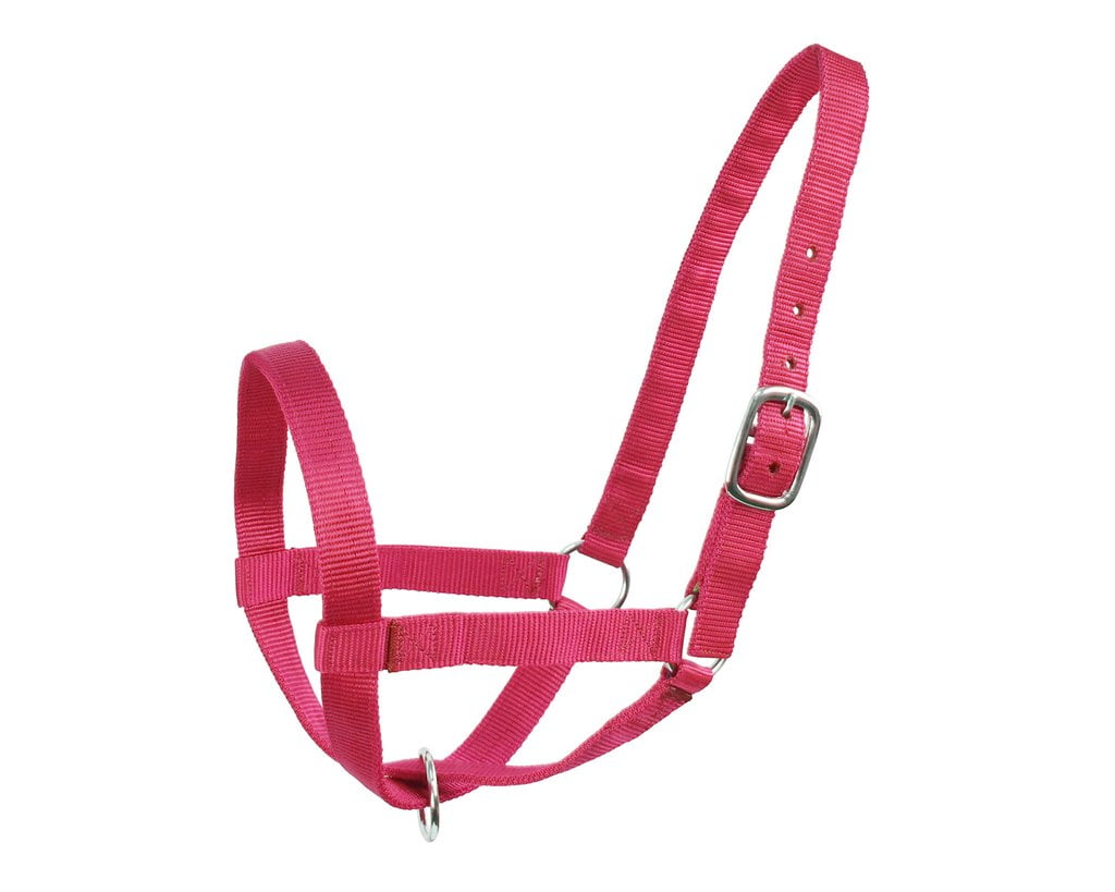Derby Originals Adjustable Nylon Livestock Cattle Halters - Walmart.com