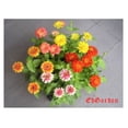 50 Pack, Carousel Mix Zinnia Elegans, Bicolor Flower Seeds in Mixed ...