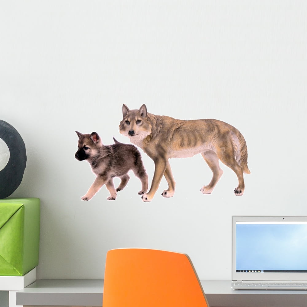 Wolf Dog Puppy with Wall Mural by Wallmonkeys Peel and Stick Graphic ...