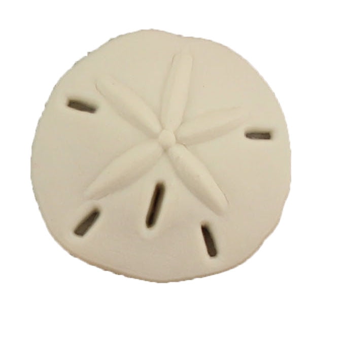 SAND DOLLAR - 100 BUTTONS - Walmart.com