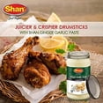 Shan - Ginger Garlic RRF12 Paste, 24.69 oz (700g) - Authentic Taste ...