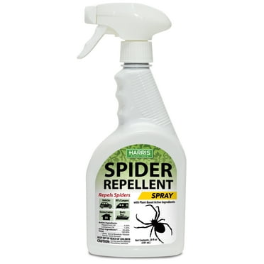Mighty Mint Spider Repellent & Killer Peppermint Oil Spray - 16oz ...