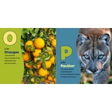 See-My-State Alphabet Book: F Is for Florida : Written by Kids for Kids ...