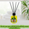 Touch Melon Reed Diffuser - Walmart.com