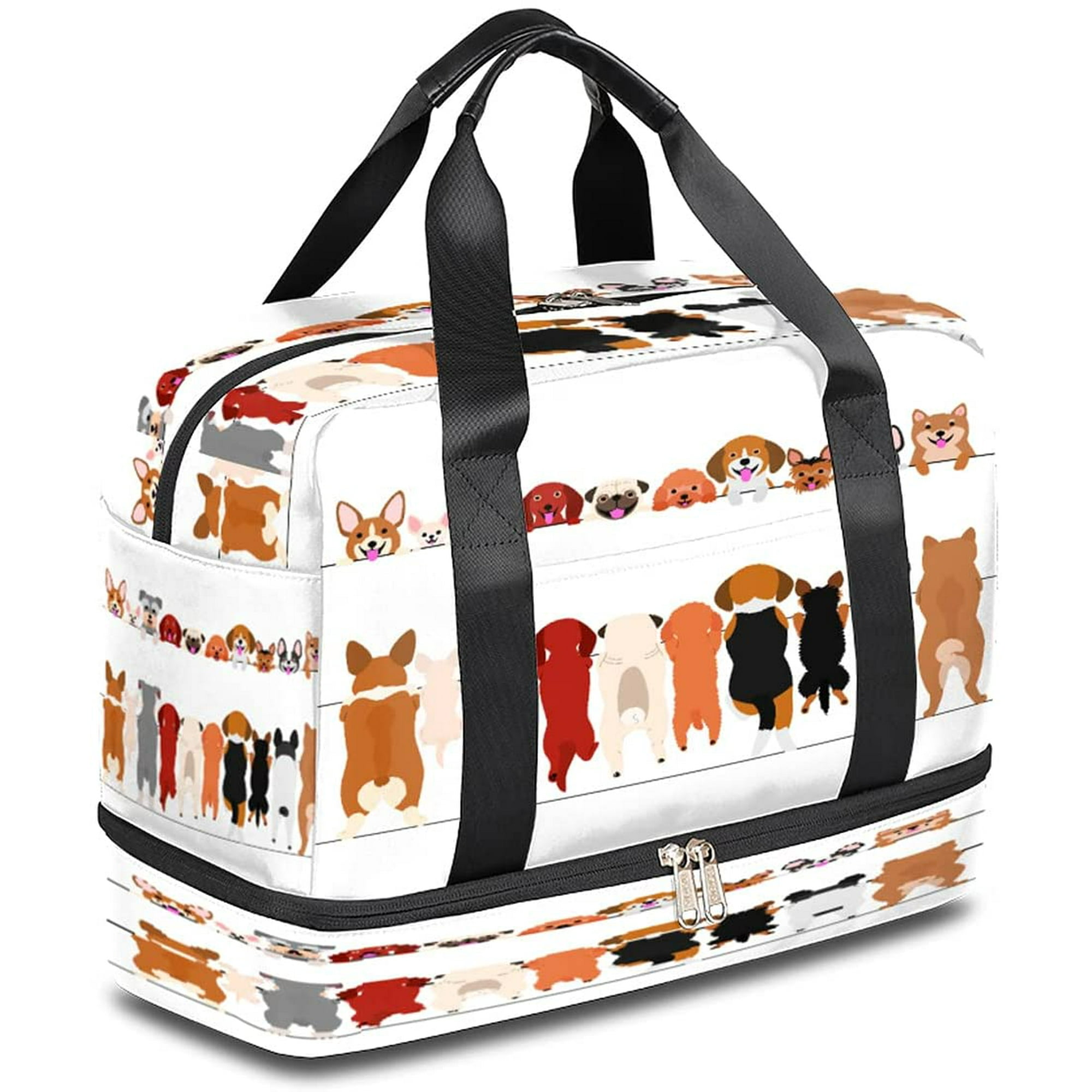 Can Puppies Go Without Water Overnight