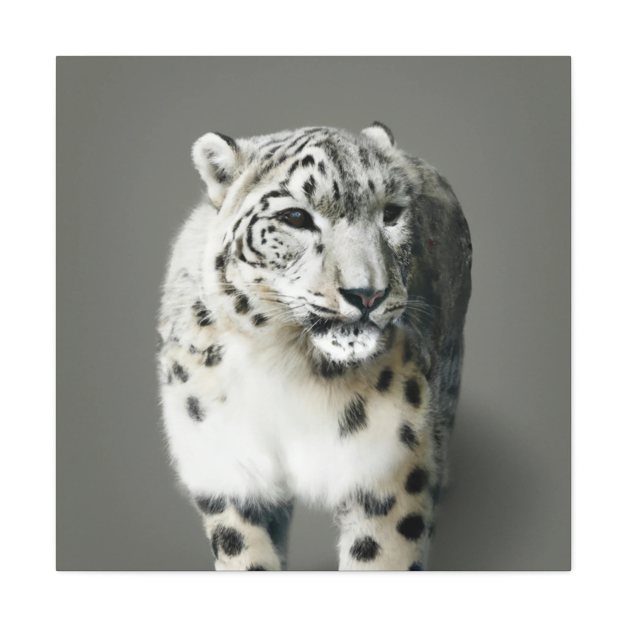 Snow Leopard in Wonder - Canvas - Walmart.com