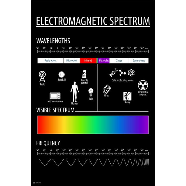 Electromagnetic Spectrum Chart Reference Science Physics Visible Light ...