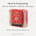 Plantlife Candy Cane Bar Soap 3 Pack - Moisturizing and Soothing Soap ...