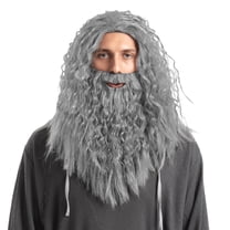 Joyfy, Men's Grey Wizard Wig with Beard, Halloween Costume Accessory ...